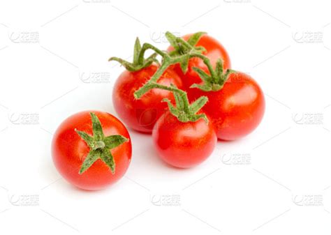 蔬菜 西红柿 农业 自然 有机食品 湿 精神振作 红色 清新 食品
