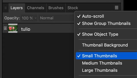 Font UI Scaling Issue In The Layers Panel V Bugs Found On MacOS Affinity Forum