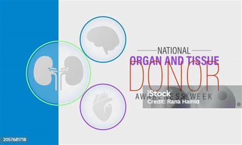 매년 4월 21일부터 27일까지 관찰되는 전국 장기 및 조직 기증자 인식 주간 벡터 배너 전단지 포스터 및 소셜 미디어 템플릿