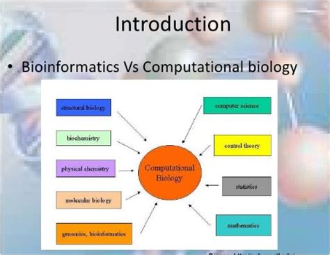 Differences Between Bioinformatics And Computational Biology