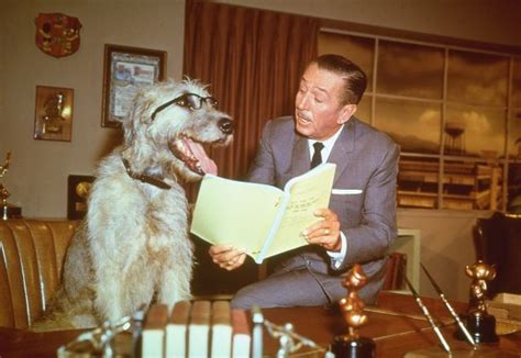 Bill Thompson Voice Actor Walter Elias Disney Walt Disney Disney Dream