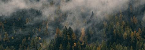 Basic Jekyll Markdown And Syntax Using The Jekyll Static Site Generator