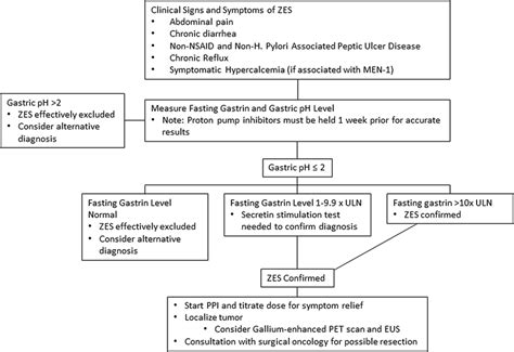 Algorithm For The Diagnosis And Evaluation Of Zollinger Download