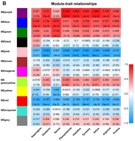 Weighted Correlation Network Analysis Of Differentially Expressed Genes Download Scientific