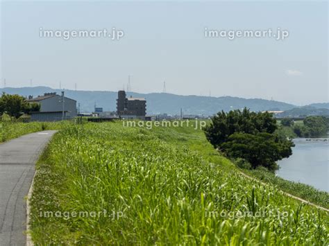 堤防沿いの道と新緑の草に覆われた風景の写真素材 [223318808] イメージマート