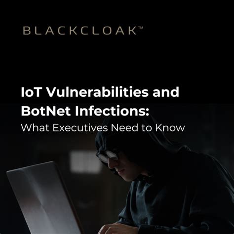 Iot Vulnerabilities And Botnet Infections What Executives Must Know
