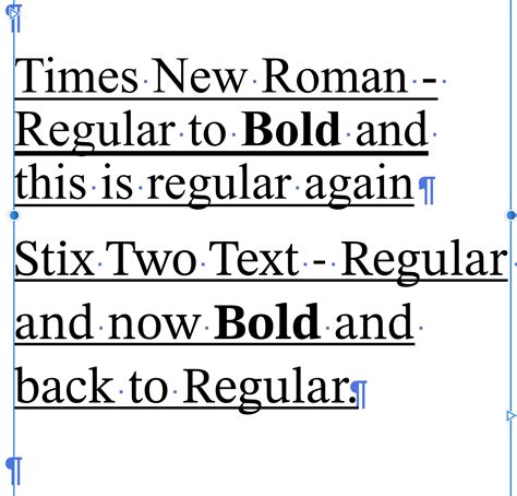 Times New Roman Font Bold