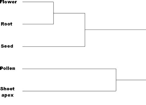 Table 1 From The Relation Of Codon Bias To Tissue Specific Gene Expression In Arabidopsis