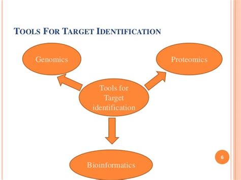 Role Of Target Identification And Target Validation In Drug Discovery