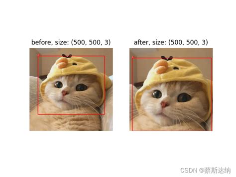 图像增强库albumentationsv130 20235中所有图像增强方法记录（class） Csdn博客