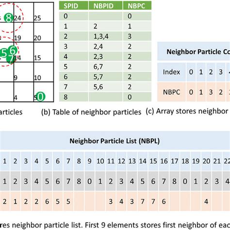 Building Particle Neighbor Lists Using Sorted Particles Download Scientific Diagram
