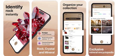 Top Rock Identifier Apps A Comprehensive Review