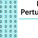 The Perturbation And Aggregation Modules Based On Binary Encoding