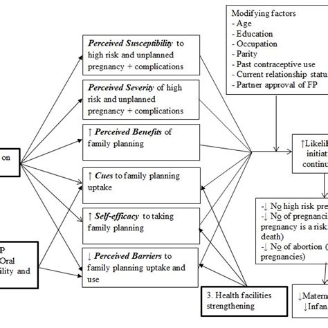 Conceptual Framework Of Anticipated Intervention Effects According To