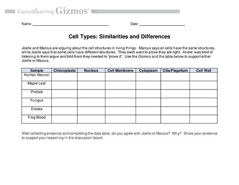 Cell Types Similarities And Differences Name Date Cell Types Similarities And Differences