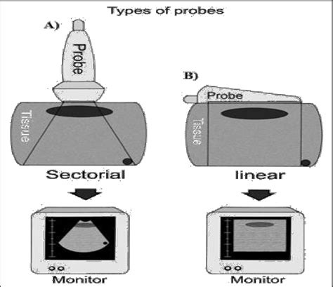 Types Of Probes A Sectorial And B Linear Download Scientific Diagram