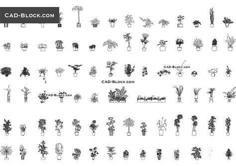 Potted Plants Elevation Free Cad Blocks Download