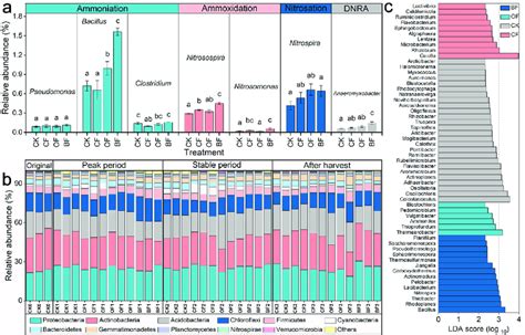Relative Abundance Of Functional Genera In The Process Associated With