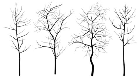 Premium Vector Black Deciduous Tree Collection