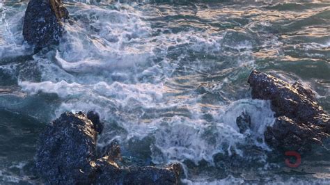 Artstation Houdini Hip File Nuke File Realistic Beach Effects Resources