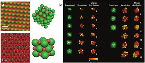 Electrostatic Driven Self Assembly A Self Assembled Colloidal