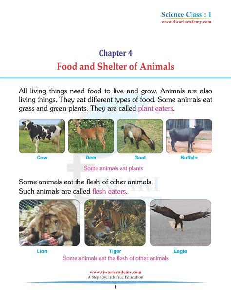 Class 1 Science Chapter 4 Food And Shelter Of Animals In Pdf Download