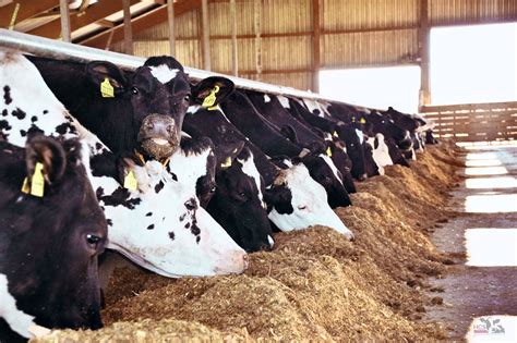 Gea Всё для фермы ВНИМАНИЕ РОЗЫСК Монтажник найдись Друзья мы разыскиваем монтажников