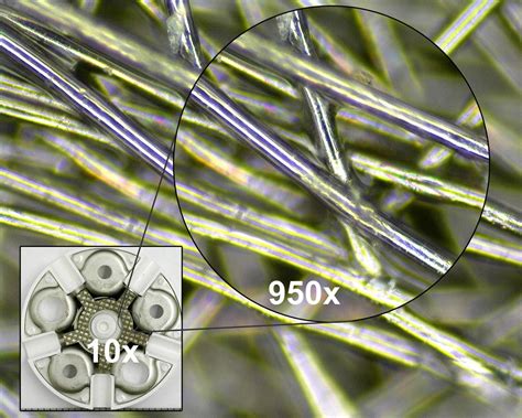 Magnification Examples — Dino Lite Digital Microscope Americas