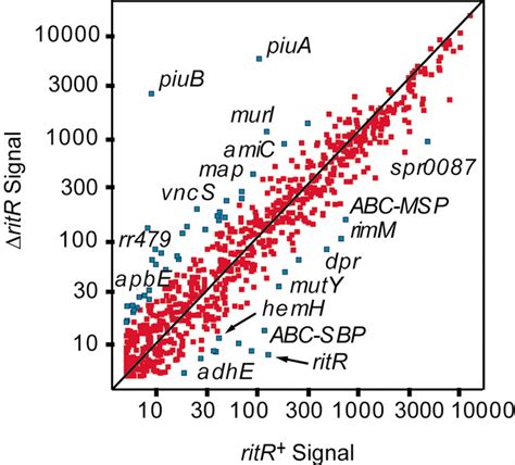 Scatter Plot Analysis Of The Array Data The Normalized Average
