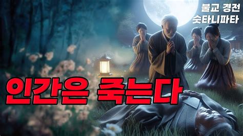 인간은 죽는다부처님말씀 숫타니파타 부처님 불교경전 삶의 지혜 좋은글 오디오북 삶의인연 인생명언 인생조언 좋은말씀 잠 잘때 듣는 이야기