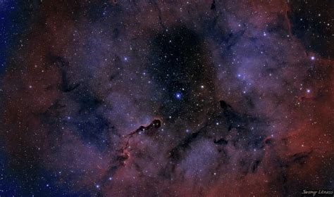 Lelefant Neuveaux Photograph By Jeremy Likness Fine Art America