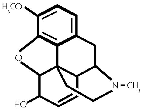 Andreas Kelich Enzyklopaedie Der Drogen Opioide Chemischer Teil Opiate Codein