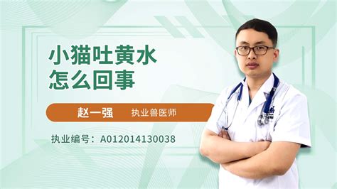 猫咪视频大全 猫咪医疗健康视频 猫咪养护训练视频 蘑菇宠医
