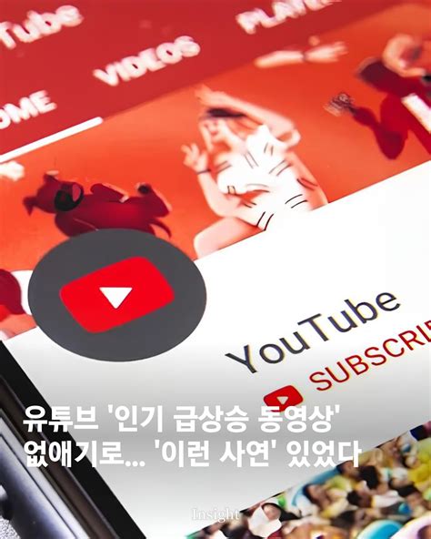 인사이트 여자 목소리 80데시벨 넘어선 안돼 남고생들이 제작한 여성비하 손팻말 🙄 경기도 안양의 한 고등학생들이 여성 비하 문구가 담긴 피켓을 든 사진을