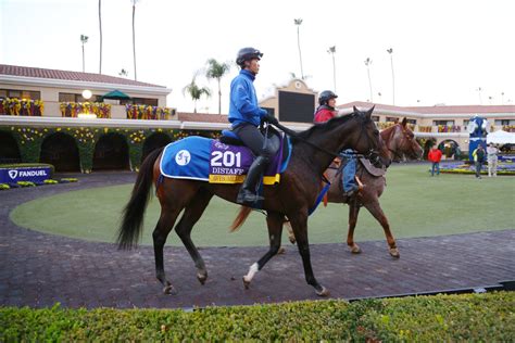 ブリーダーズカップディスタフ（g1） 2024112土 日程・結果 Jra Van World 海外競馬情報サイト