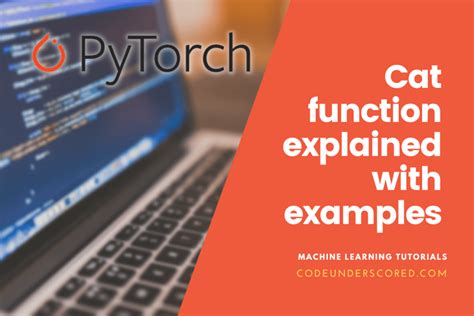 Pytorch Mean Code Underscored