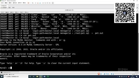 使用SQL脚本导入数据 哔哩哔哩 bilibili