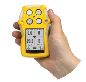 Portable Gas Detector Singapore Hand Carry Gas Detector Supplier