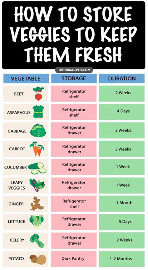 Best Way To Store Fresh Vegetables In The Fridge At Jessica Lewis Blog