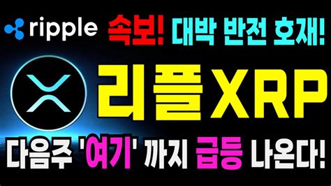 리플xrp전망⭐오늘밤 뒤집어지나 미정부 규제 충족과 조정 마무리 분기점 이번달 최소 여기까지 상승 예상됩니다 리플 리플코인 리플전망 Youtube