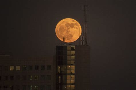 在各国的超级月亮 俄罗斯卫星通讯社