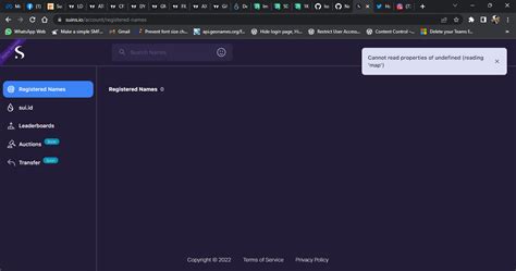 Error Upon Registering Suins Domain And Accessing Them In Account