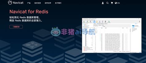 navicat官网 功能强大的跨平台数据库管理软件 非猪ai导航