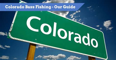Best Bass Fishing In Colorado Top 5 Picks To Catch Trout Walleye Bass