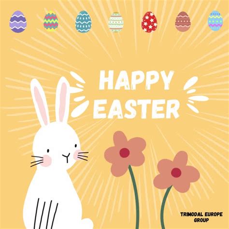 [video] Trimodal Europe Group On Linkedin Trimodaleuropebv