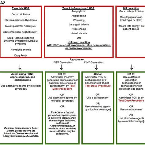 Beta Lactam Structure And Cross Reactivity Examples Beta Lactam Download Scientific Diagram