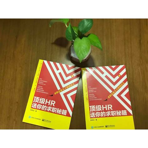 当当网顶级hr送你的求职秘籍——求职是份儿全职的活儿郑树冰电子工业出版社正版书籍 虎窝淘