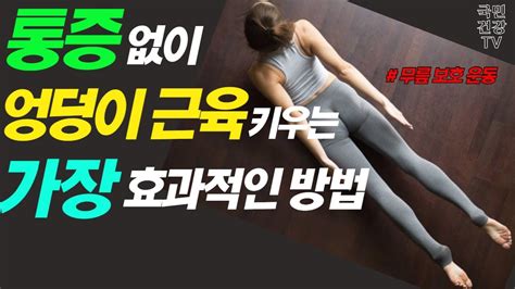 통증 없이 엉덩이 근육 키우는 가장 효과적인 방법 관절에 부담 없는 운동 중년 근력 운동 무릎 안아픈 하체운동 스쿼트 대신 할 수 있는 운동 Youtube