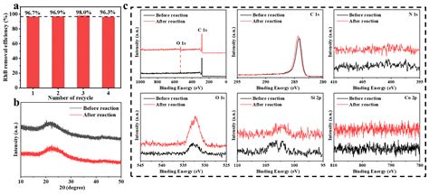 Design Of Environmental Friendly Carbon Based Catalysts For Efficient Advanced Oxidation Processes