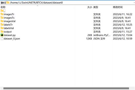 Swin Unetr 训练记录 Ray Z 博客园